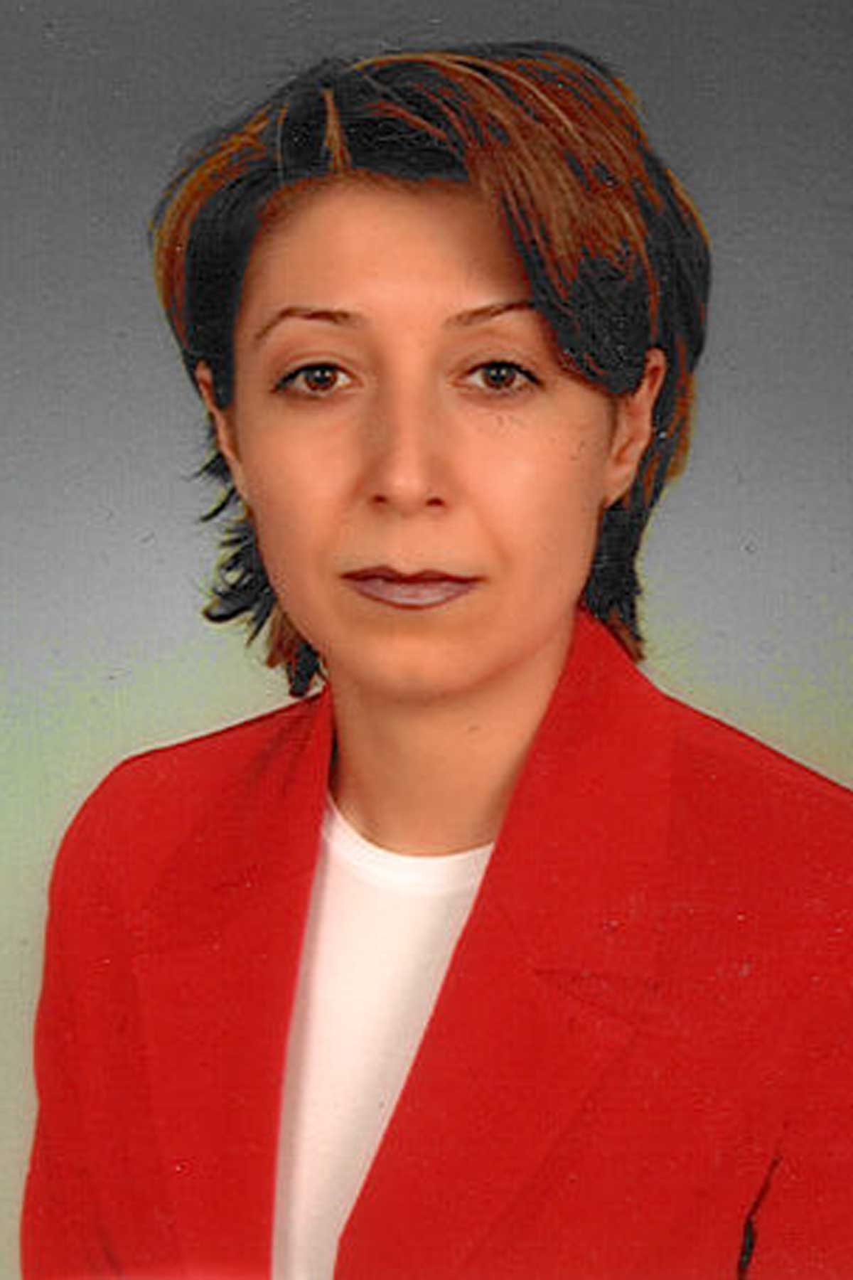 Index of /files/images/temsilcilikler/